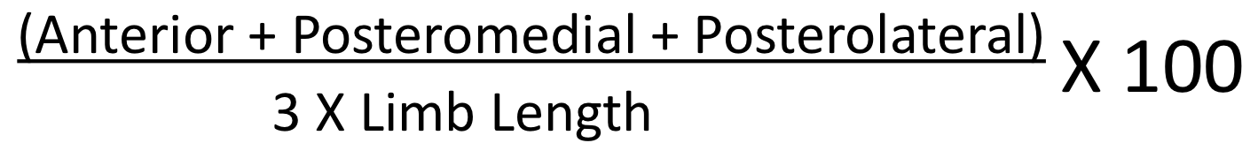 Lower Quarter Y-Balance Test – John Snyder, DPT