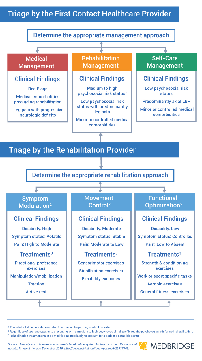 Evolution of the Treatment-Based Classification for Low Back Pain – John Snyder, DPT