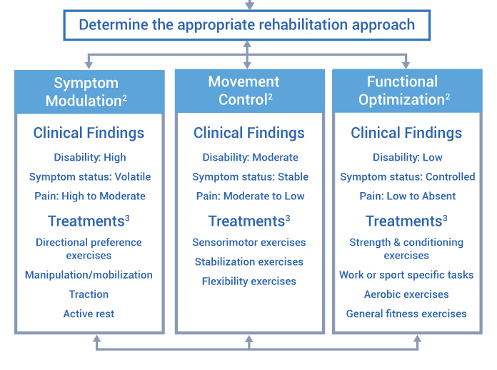 Evolution of the Treatment-Based Classification for Low Back Pain ...